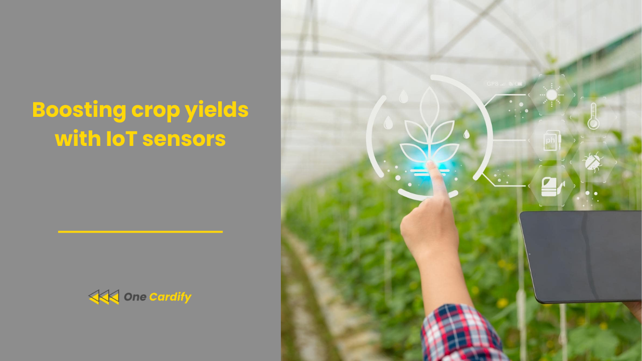 Boosting crop yields with IoT sensors - One Cardify Boosting crop yields with IoT sensors - One Cardify